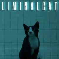『LIMINAL CAT』のゲーム紹介【最新情報まとめ】 - ゲームウィズ