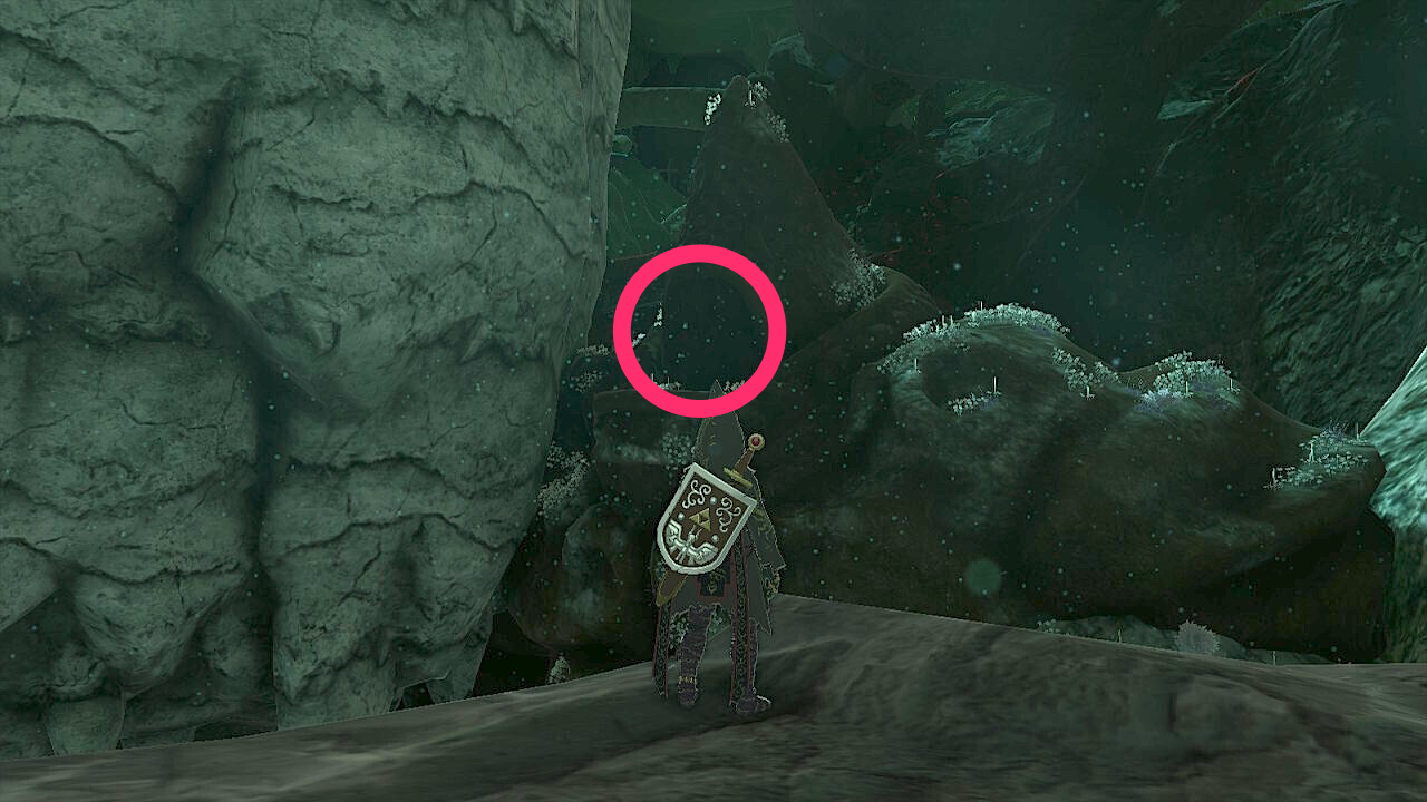 TotK | Bargainer Statue Location & Items Guide | Zelda Tears Of The ...