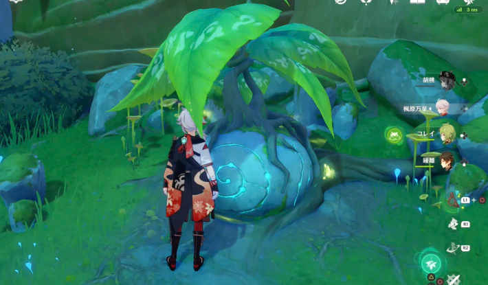 Genshin Impact | Vasmrti Locations And Uses - GameWith