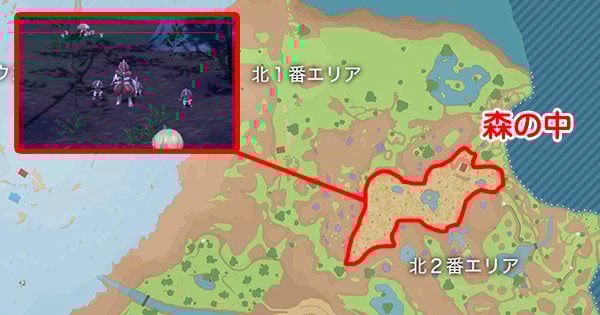 【ポケモンSV】コマタナの進化と群れの場所・色違いと生息地【スカーレットバイオレット】 - ゲームウィズ