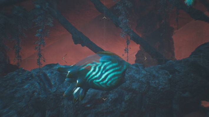 MH Wilds | Nu Yaya - Location and How to Capture | Monster Hunter Wilds ...