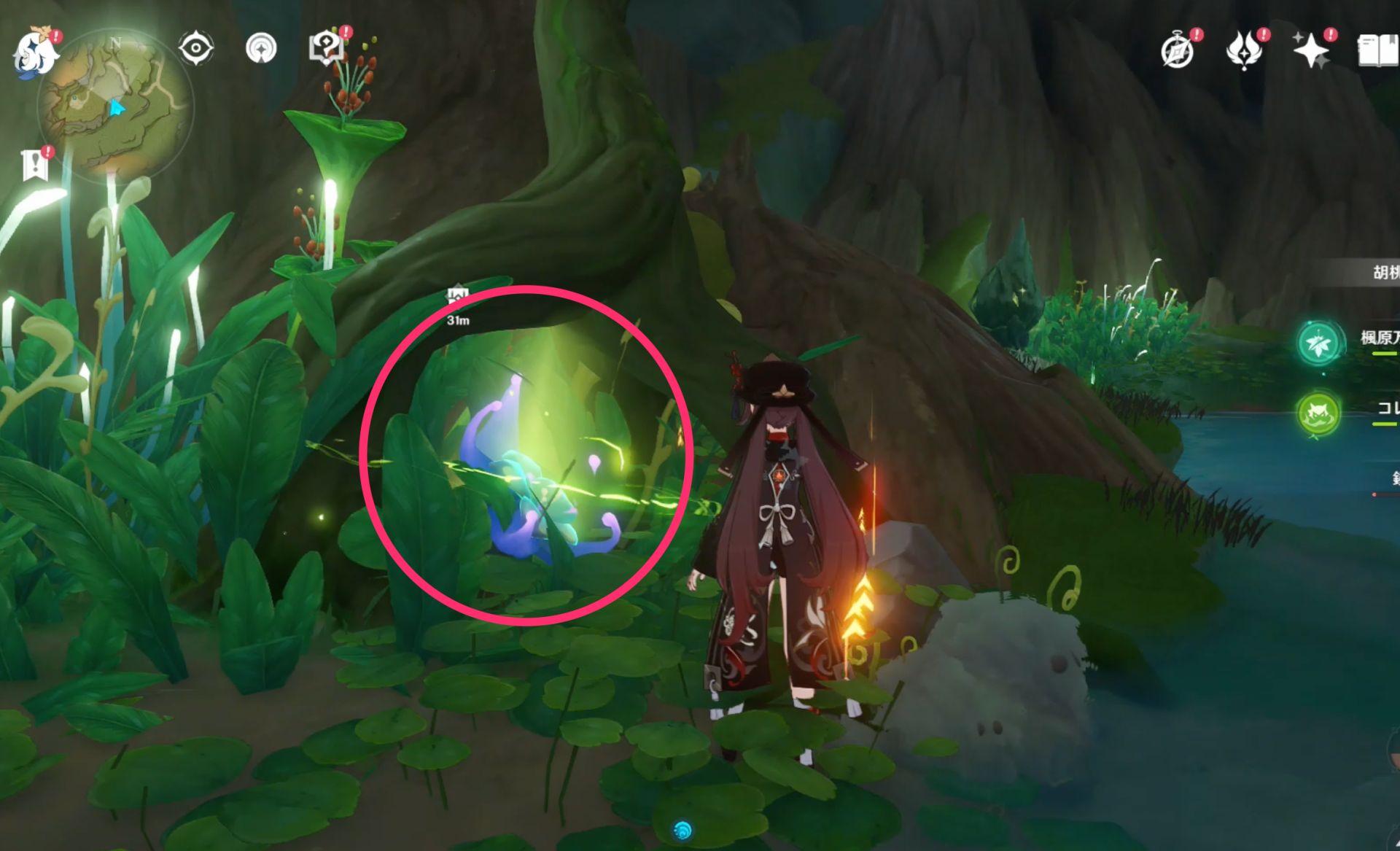 Genshin Impact | Vasmrti Locations And Uses - GameWith