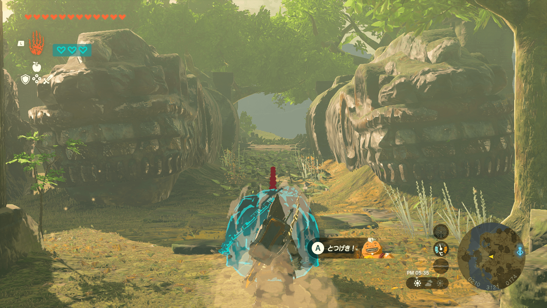 TotK | The Corridor Between Two Dragons Walkthrough | Zelda Tears Of ...