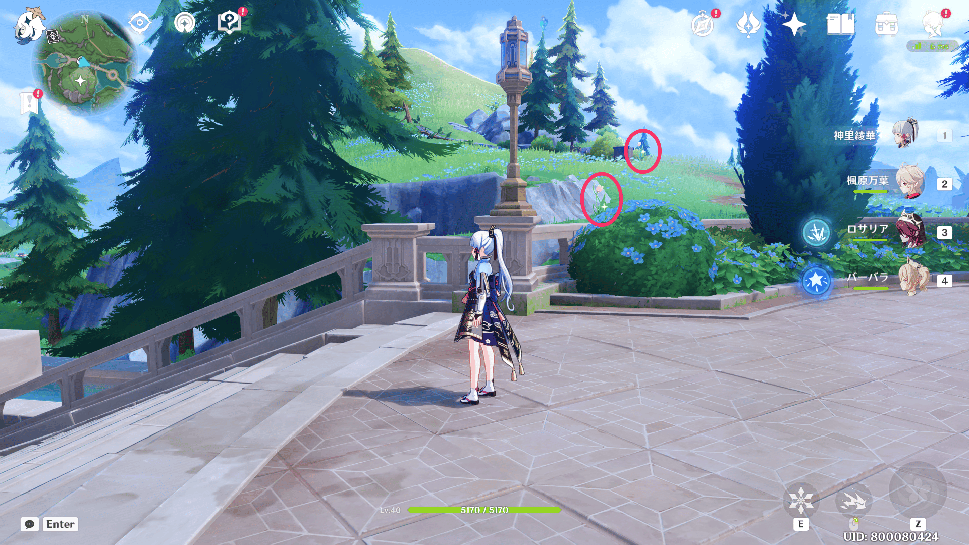 Genshin Impact | Rainbow Rose Location & How To Get - GameWith