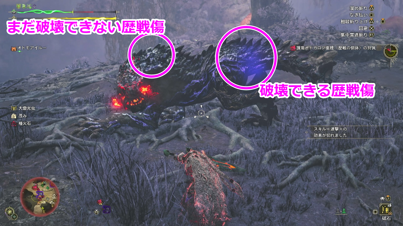 MH Wilds | Guardian Ebony Odogaron Guide - Weakness, Drops, and How to ...